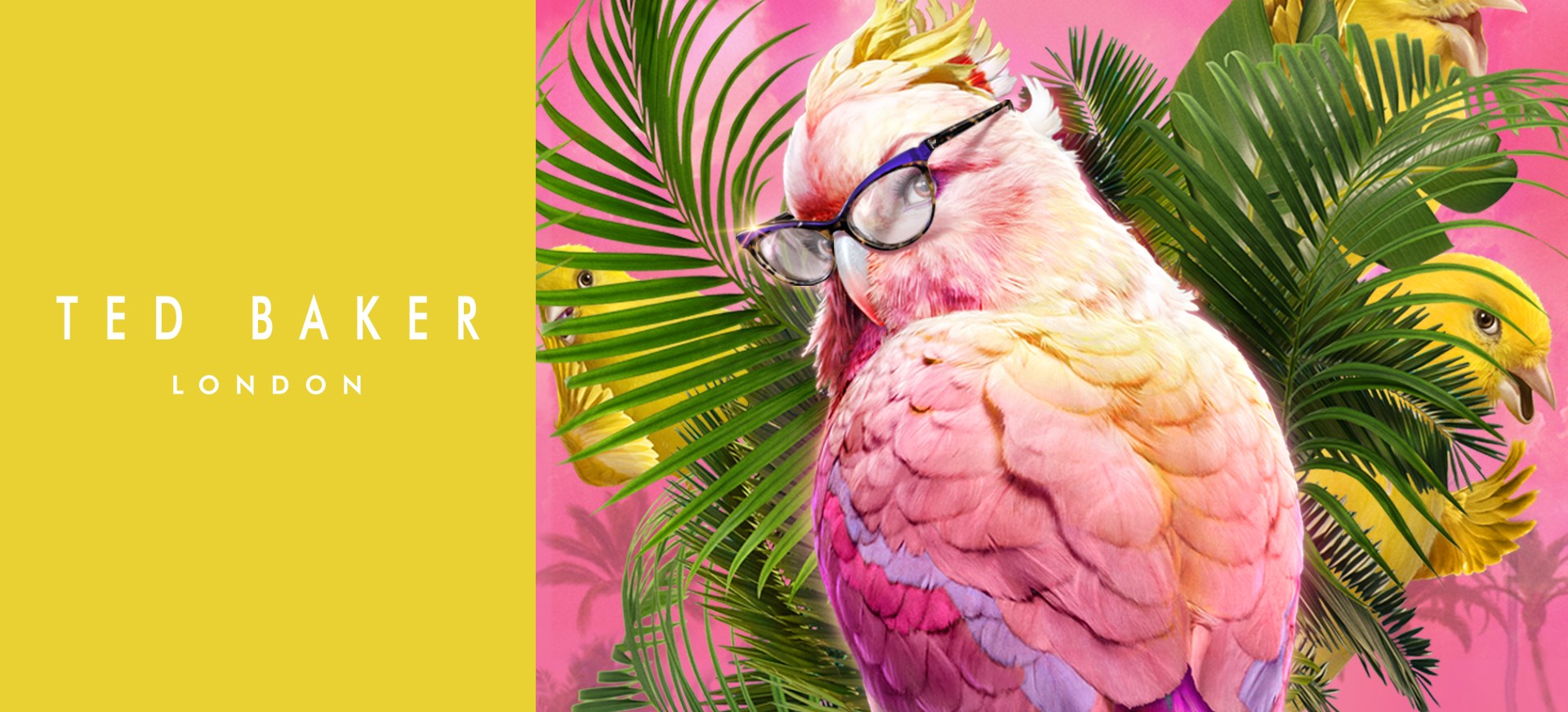 Ted Baker | Tura